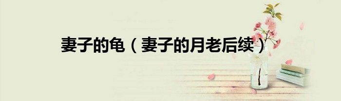 妻子的龟(妻子的月老后续)环球知识网