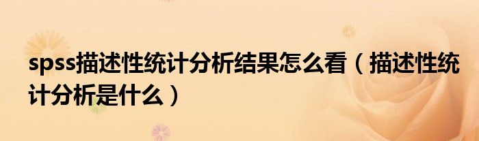 Spss描述性统计分析结果怎么看（描述性统计分析是什么） 环球知识网